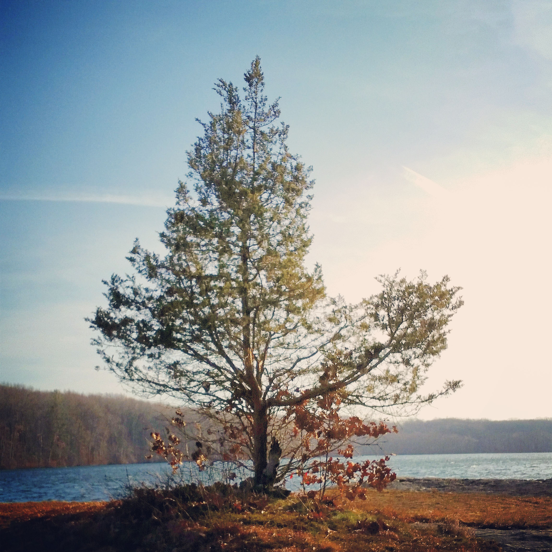 Why Respect Crowley? - Anthony Teth